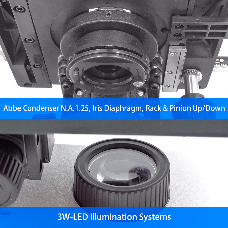 Binocular Infinity Plan Laboratory Biological Microscope YR05787 ...
