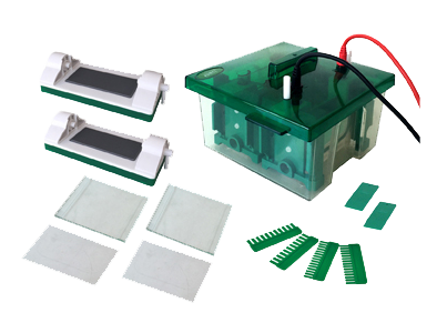 Electroforesis - Kalstein