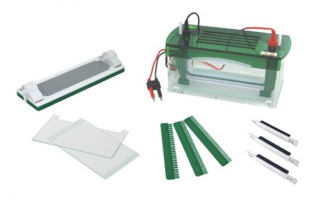 Electroforesis Vertical Rápida YR03430: Precisión y Tecnología Avanzada ...